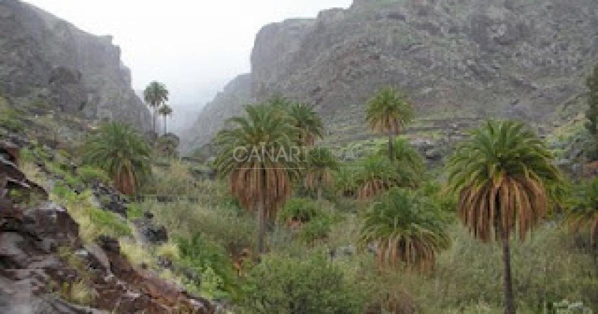 Reserva Natural Integral de Inagua, Rincones de Gran Canaria